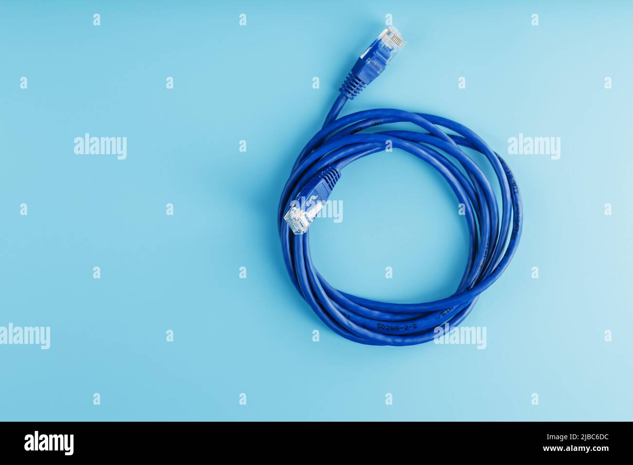Blue Ethernet Cable Connectors Patch cord cord close-up isolated on a blue background with free ...