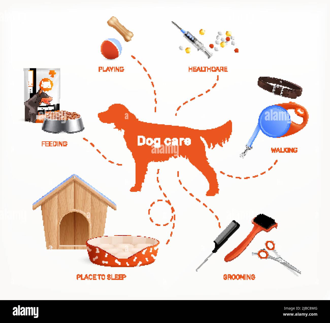 Dog care infographics layout with healthcare feeding walking grooming ...