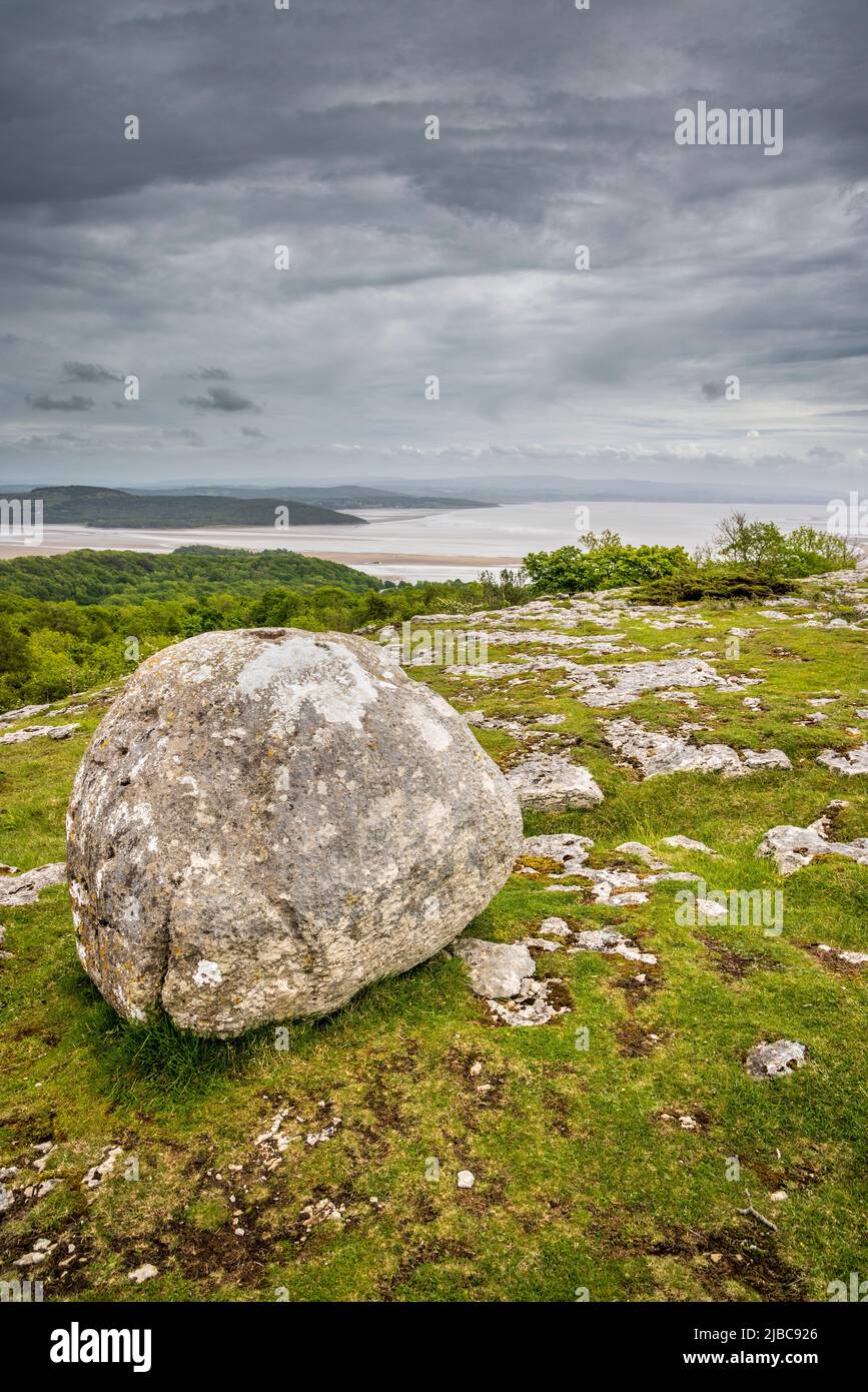 A glacial erratic on the Limestone Pavement at Hampsfell overlooking ...