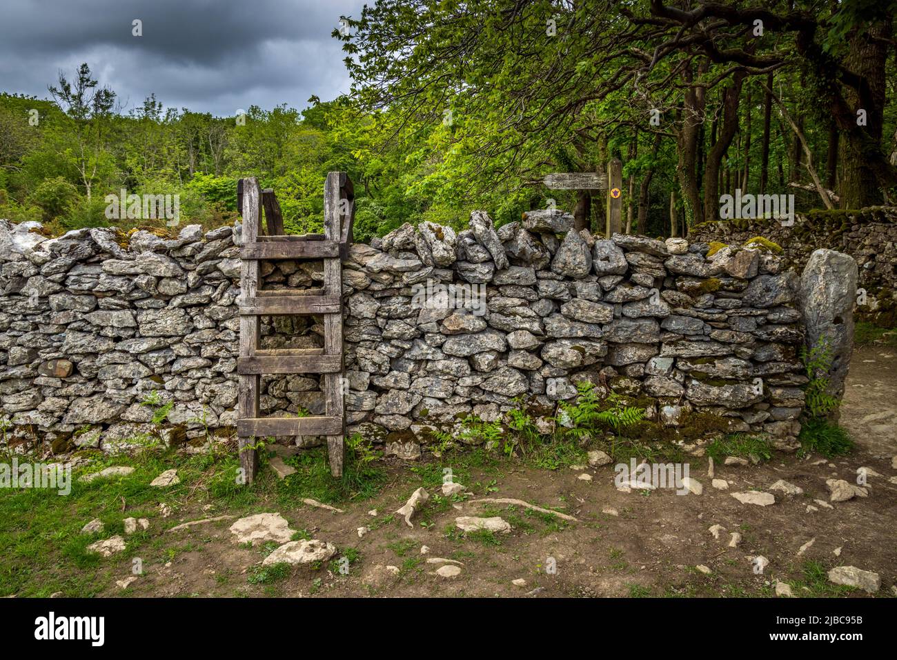 A ladder stile over a drystone wall on Hampsfell, Lake District ...