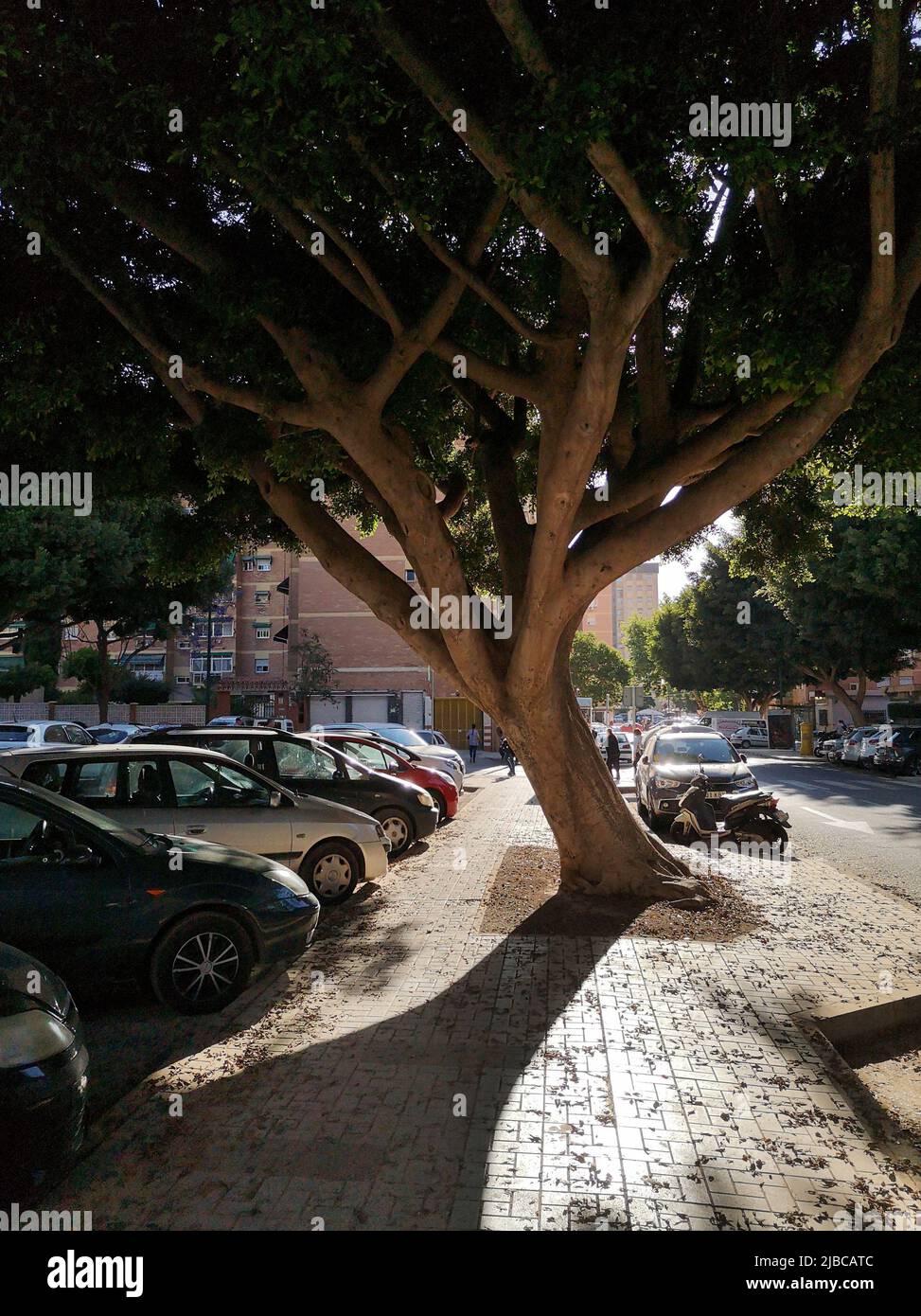 Big pavement hi-res stock photography and images - Alamy