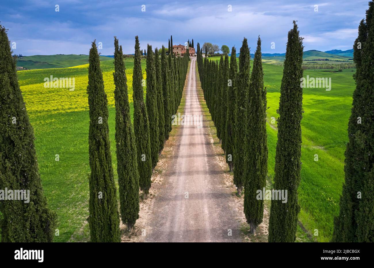 Aerial view on Tuscan spring hills with cypress trees Stock Photo - Alamy
