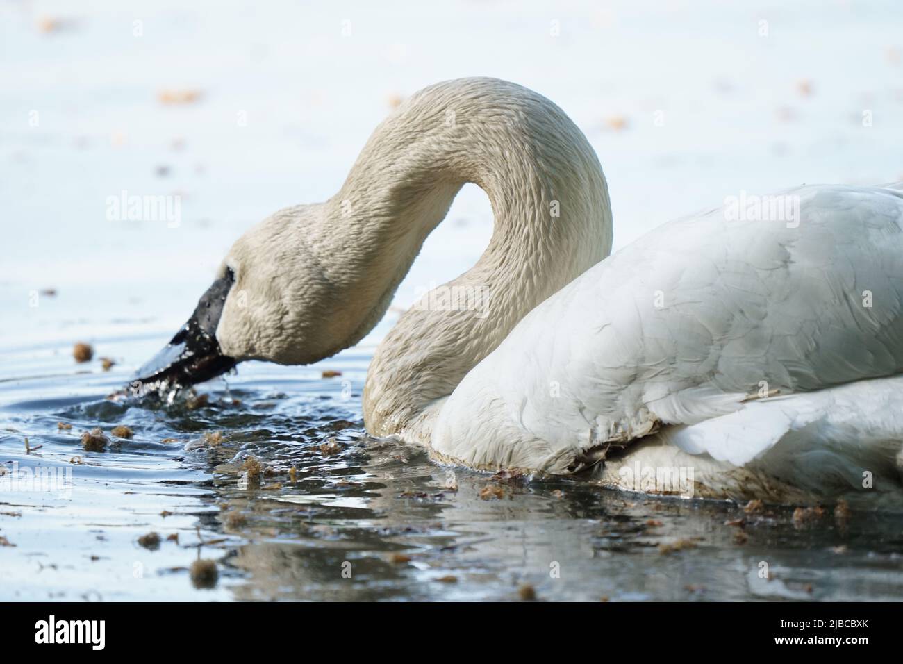 Reflection of imagination Stock Photo - Alamy