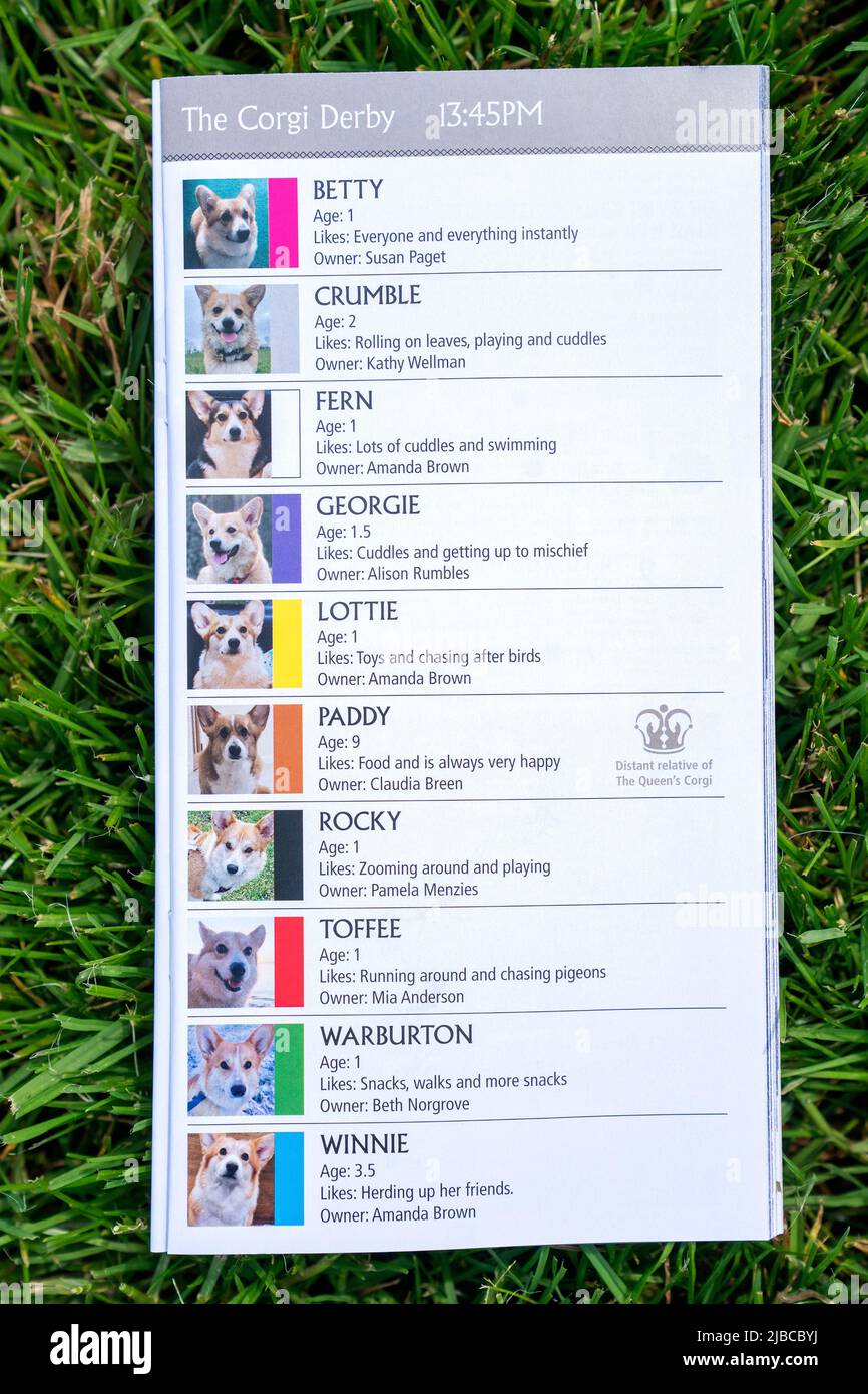The race card showing the runners in the official race programme ahead ...