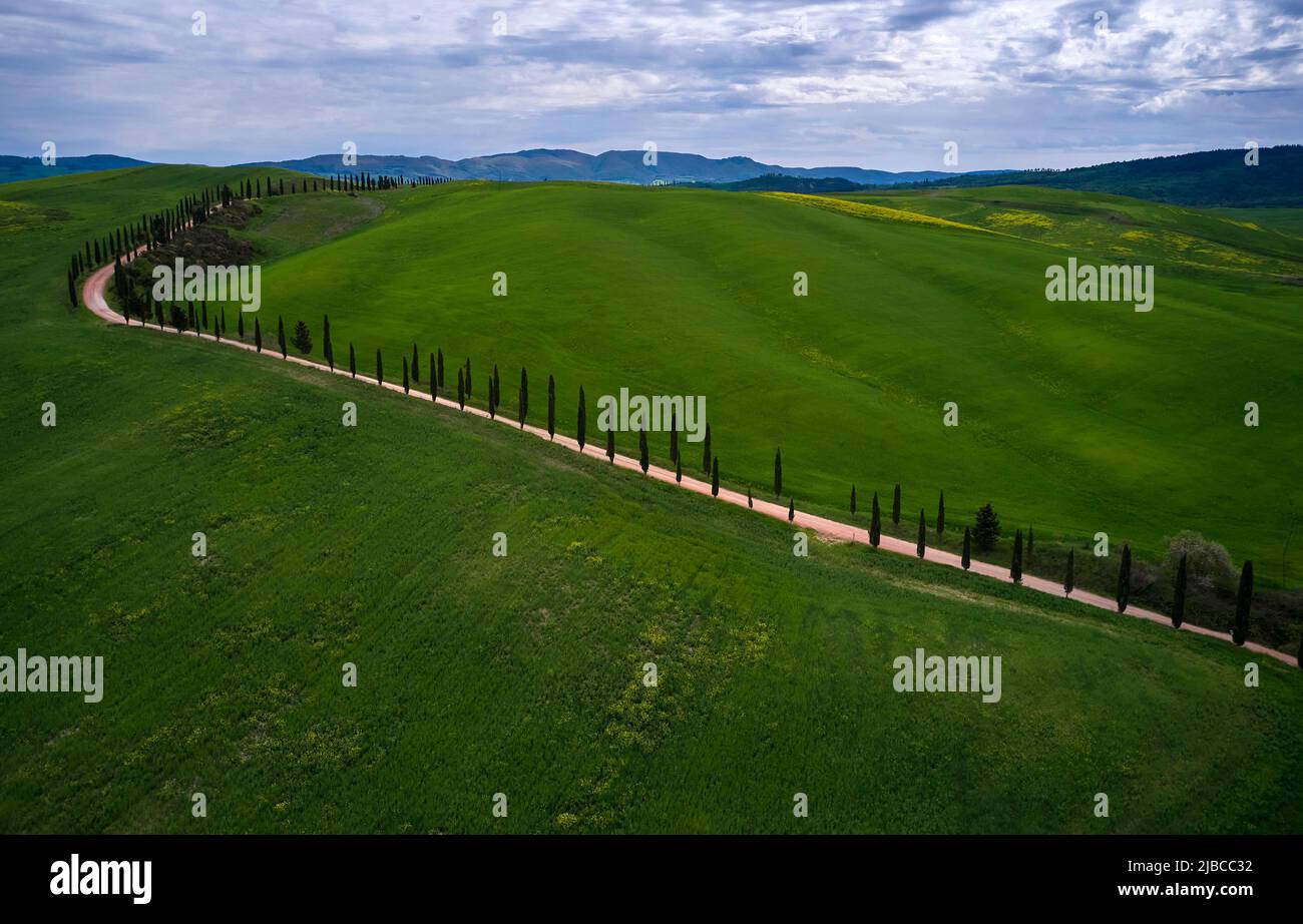 Aerial view on Tuscan spring hills with cypress trees Stock Photo - Alamy