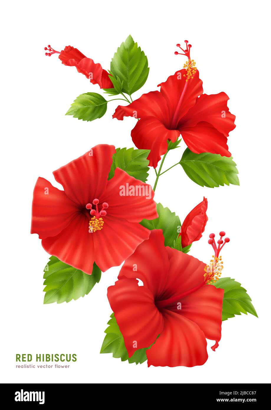 Stems composition Stock Vector Images - Alamy