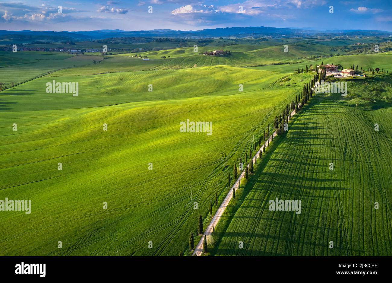 Aerial view on Tuscan spring hills with cypress trees Stock Photo - Alamy
