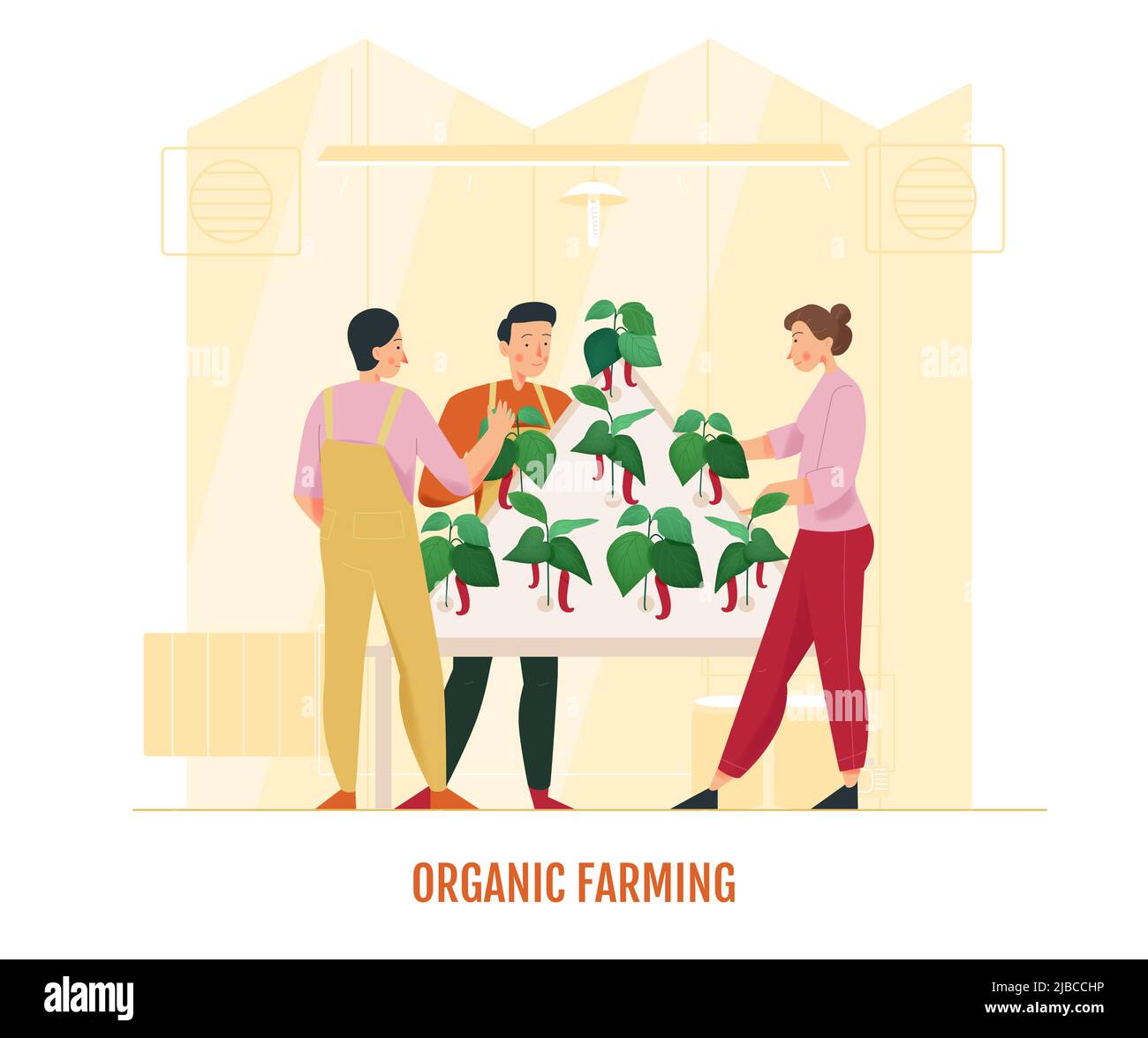 Three people looking after greenhouse chili pepper flat vector ...