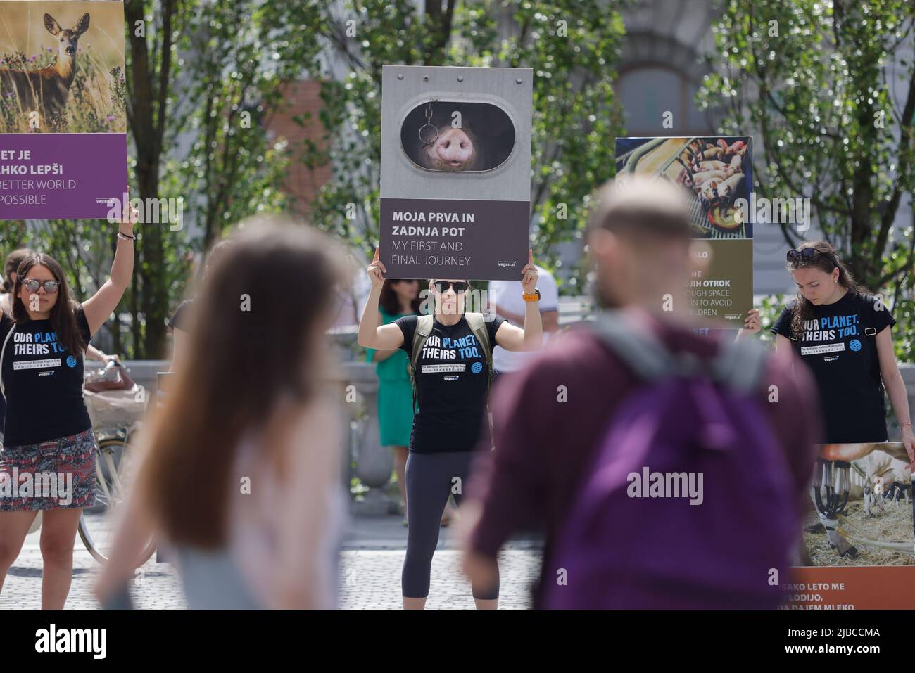Protesters carry placards during a global National animal rights day ...