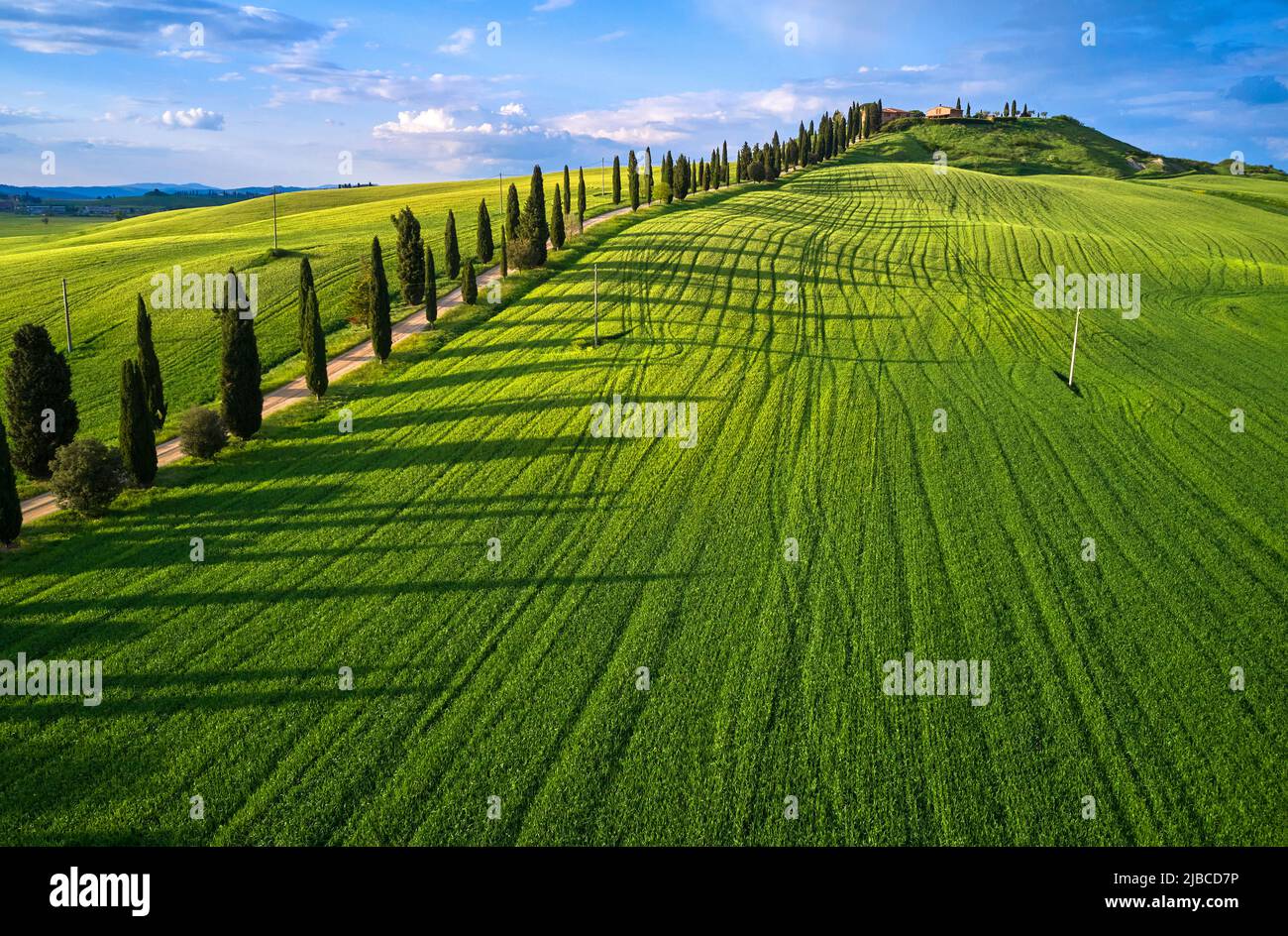 Aerial view on Tuscan spring hills with cypress trees Stock Photo - Alamy