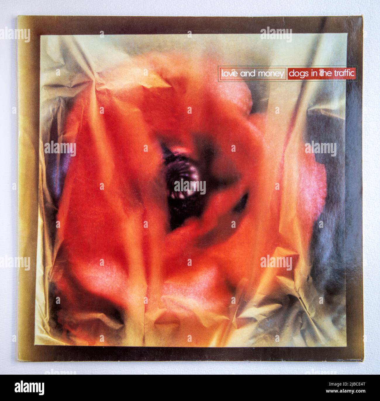 Dogs and love hi-res stock photography and images - Alamy