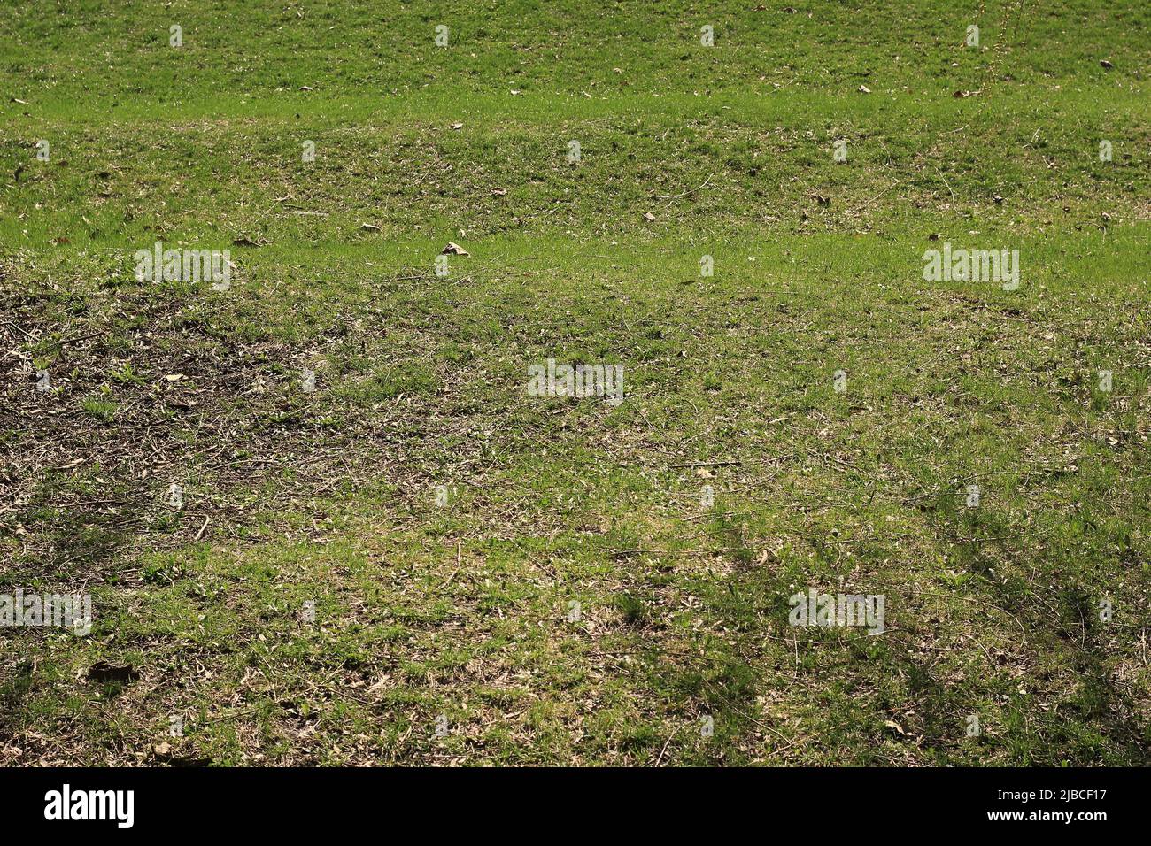 A full frame view of a grassy knoll and hill in the yard Stock Photo ...