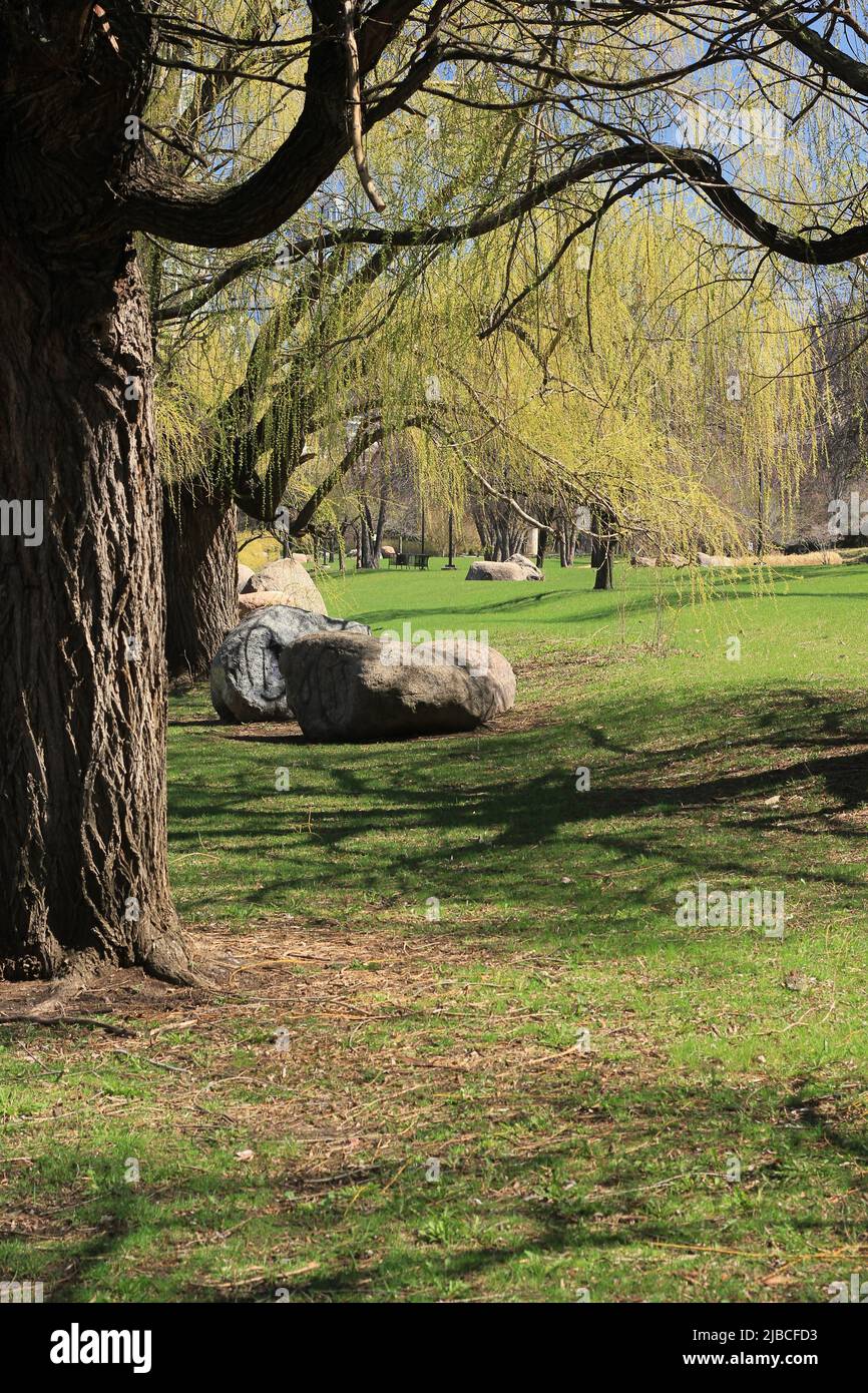 Huge granite boulders standing in the grassy field Stock Photo - Alamy