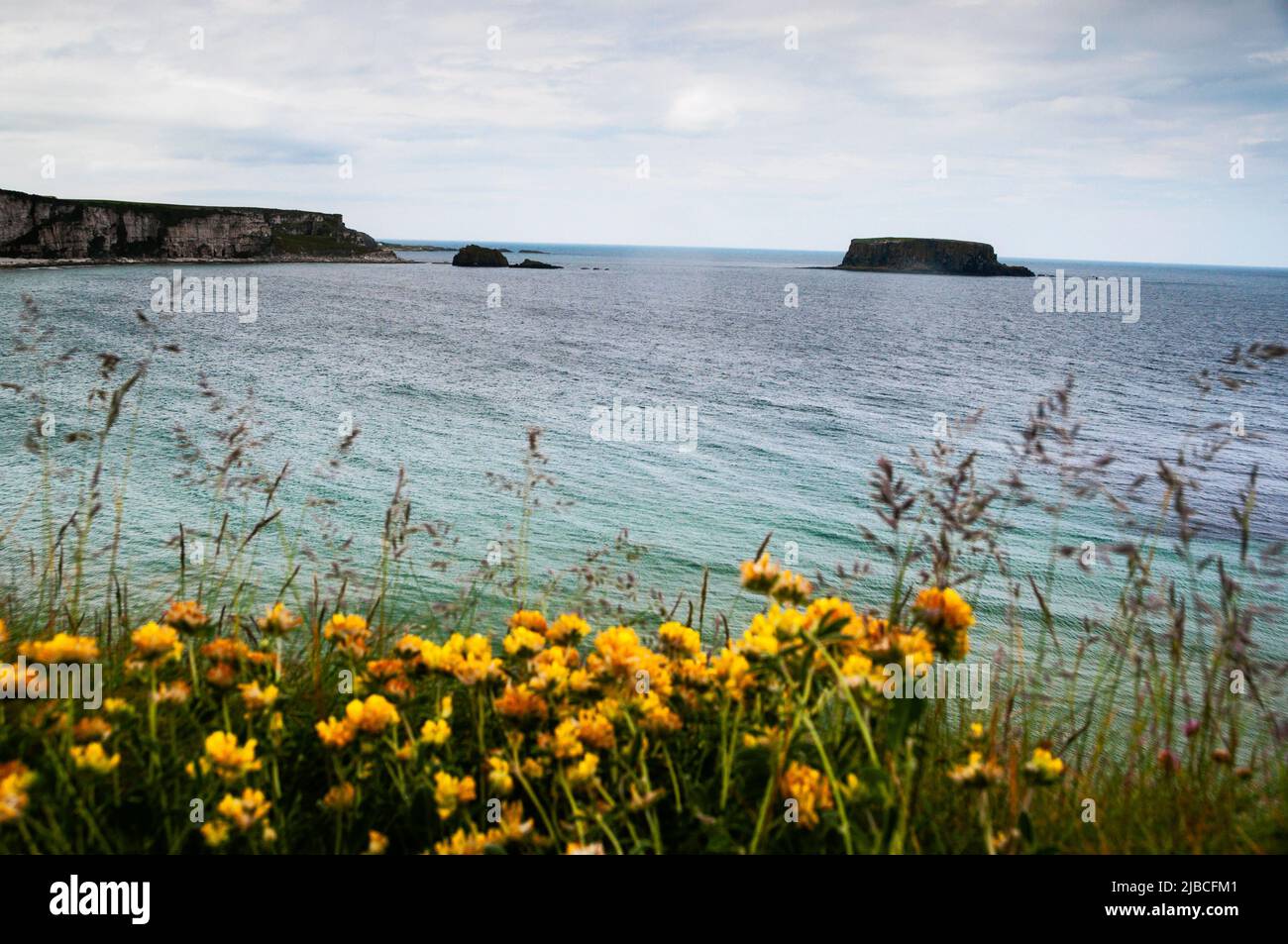 Antrim derry plateau hi-res stock photography and images - Alamy
