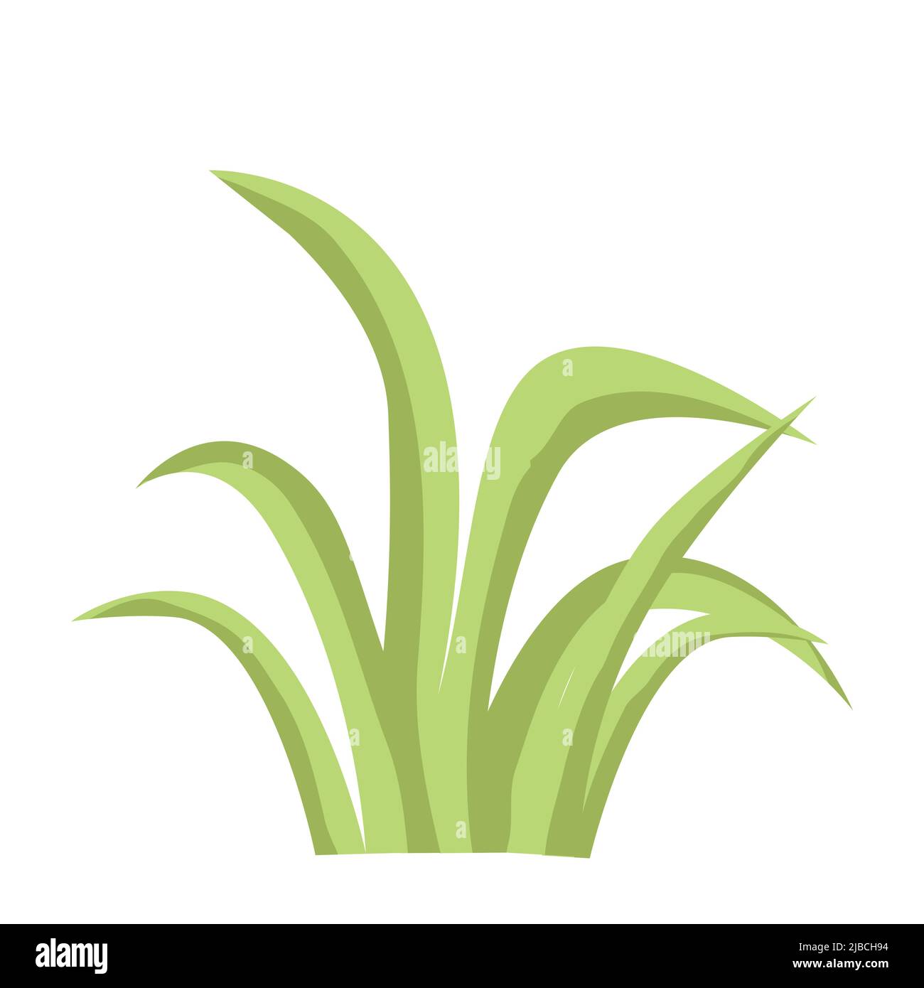 Cartoon plant green grass vector isolated object illustration Stock ...