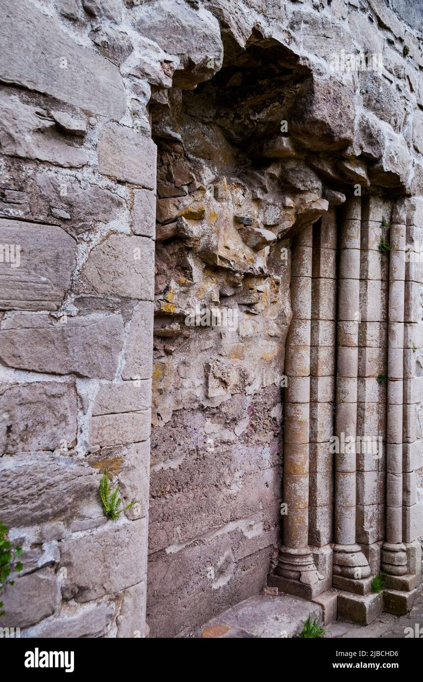 Carved columns at the ruins of Boyle Abbey in Boyle, Ireland Stock ...