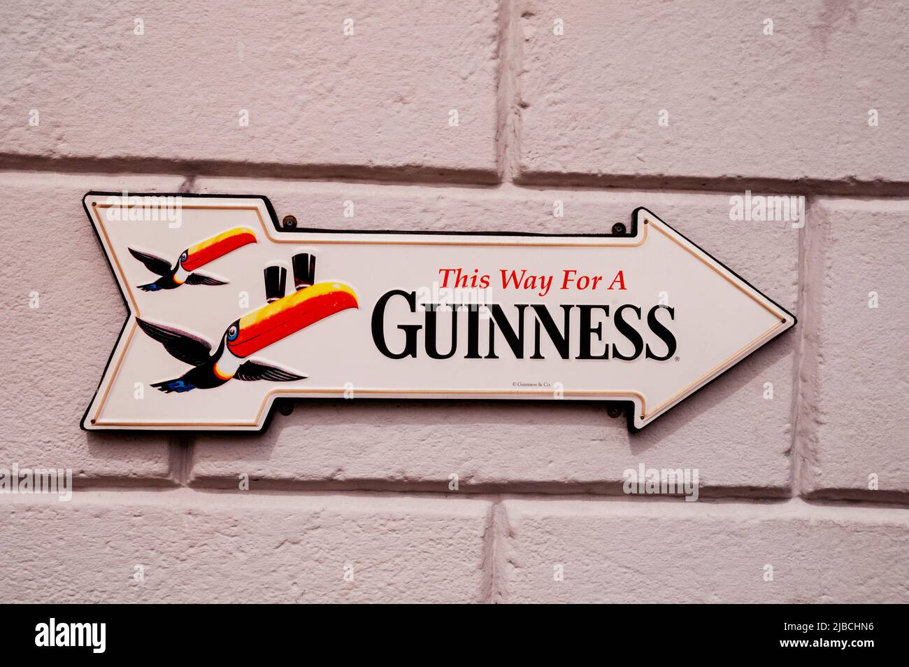 Guinness Toucan mascot in Boyle, Ireland Stock Photo - Alamy
