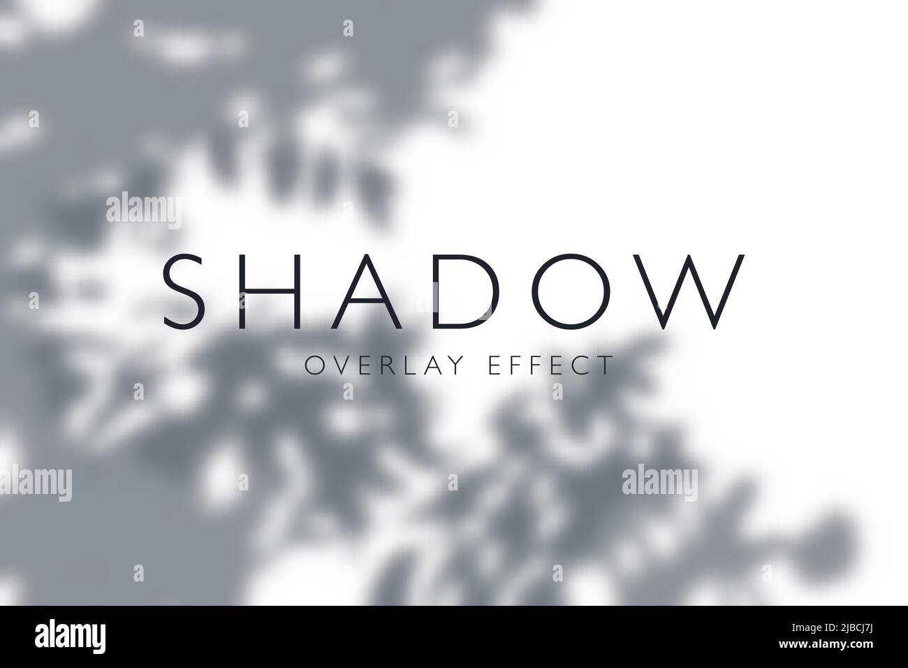 Realistic background with overlay effect and dark shadows from tree ...