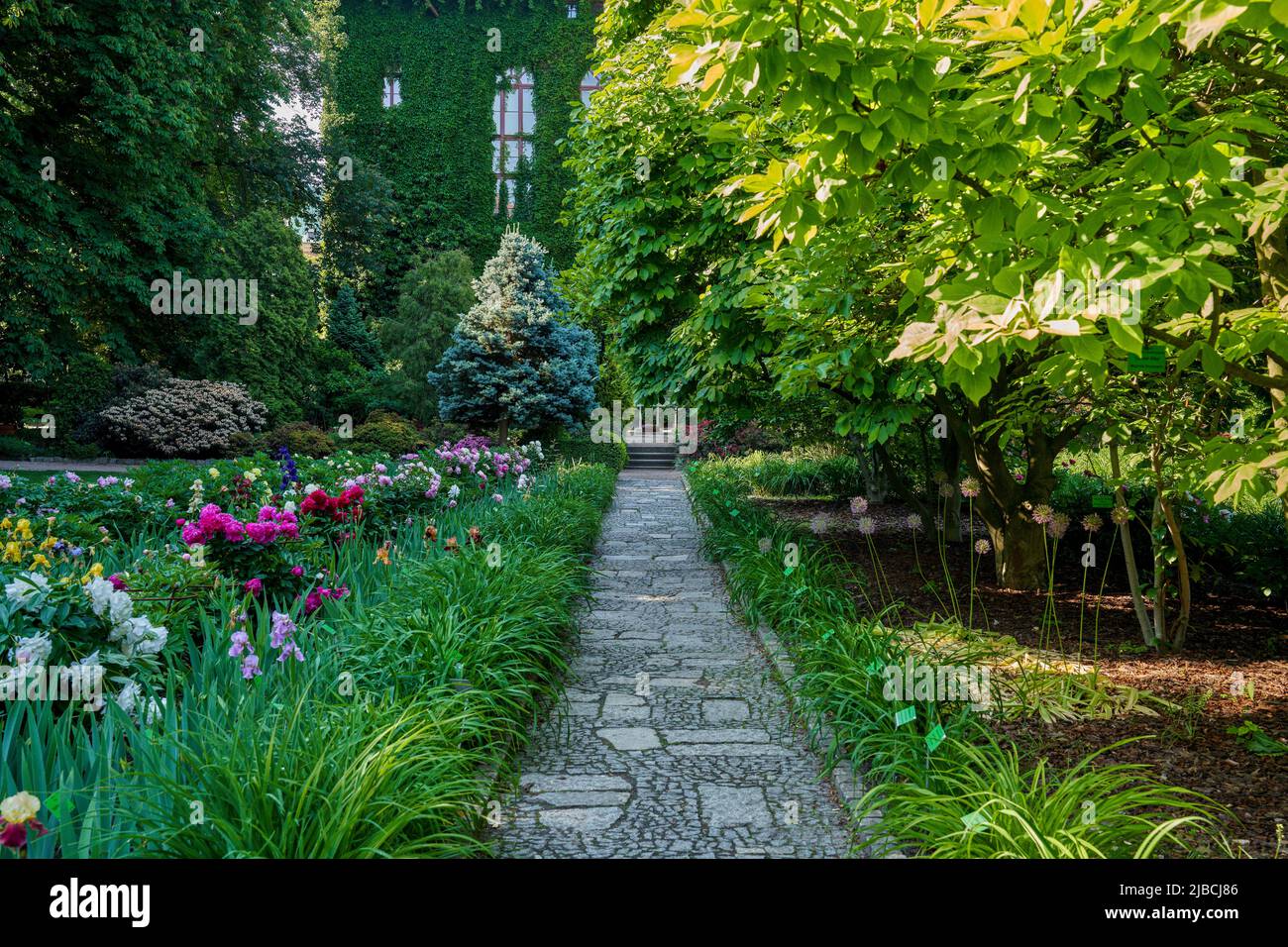 Botanical gardens in the spring Wroclaw Lower Silesia Poland Stock ...