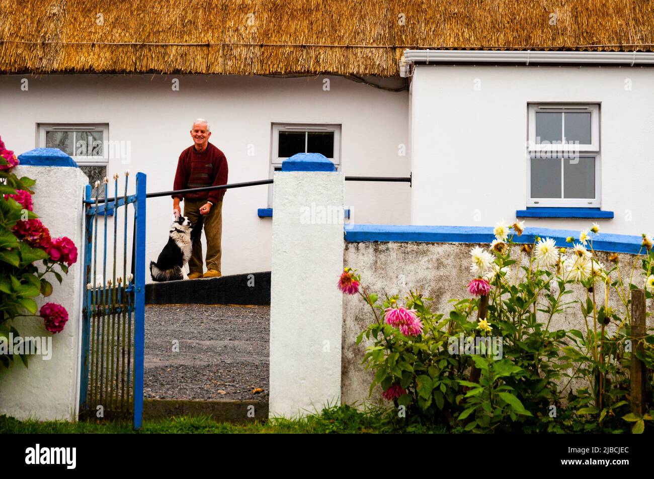 Traditional irish thatched whitewashed cottage hi-res stock photography ...
