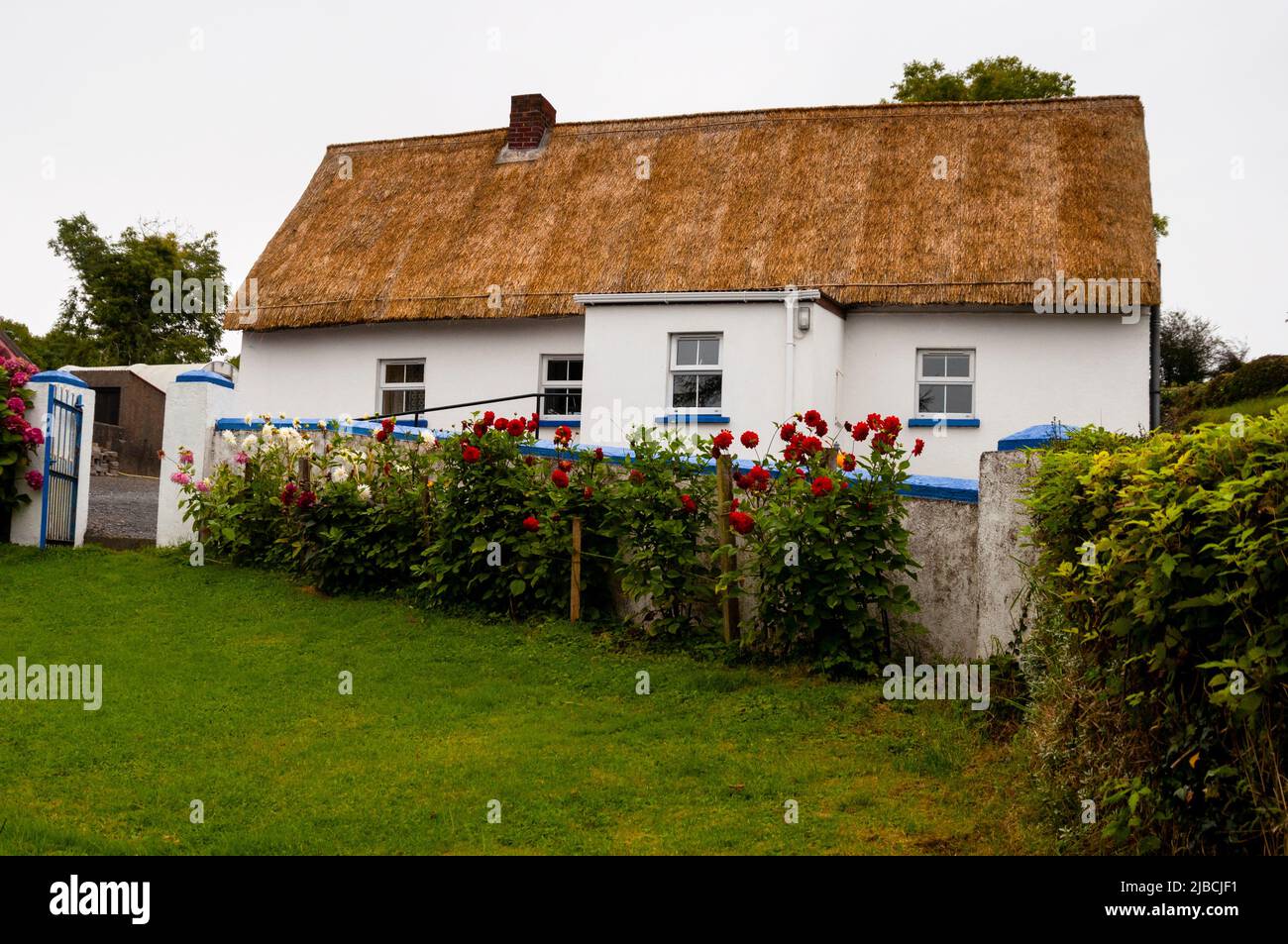 Thatch roof cottage in Cavan, Ireland Stock Photo - Alamy