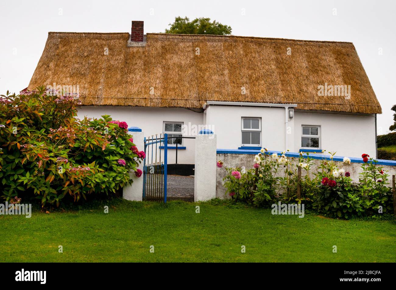 Whitewashed thatched roof irish cottage hi-res stock photography and ...