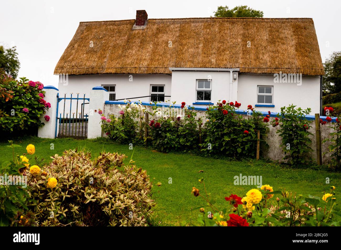 Traditional irish thatched whitewashed cottage hi-res stock photography ...