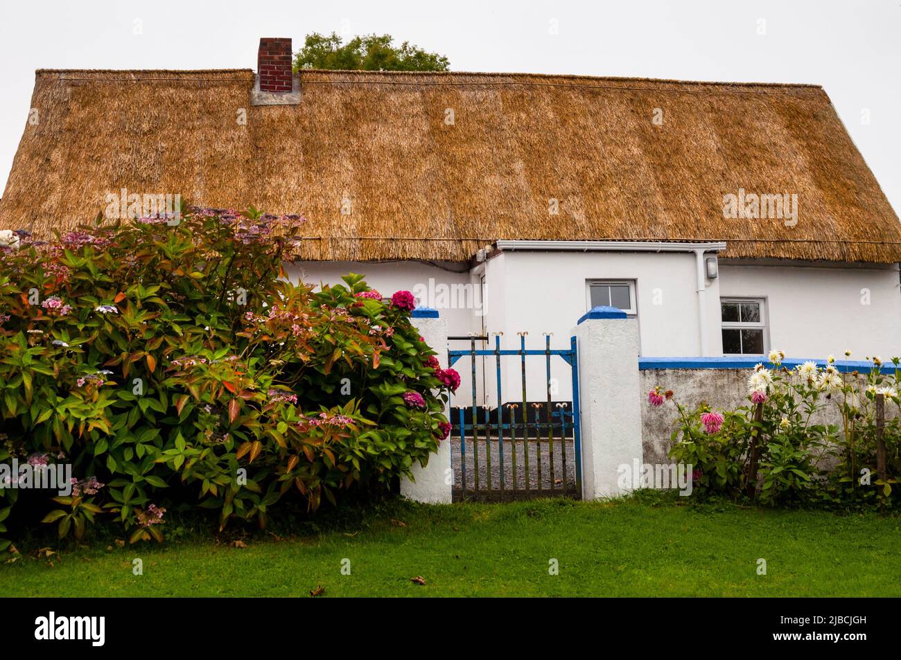 Traditional Irish thatched roof cottage in the heart of Cavan, Ireland ...