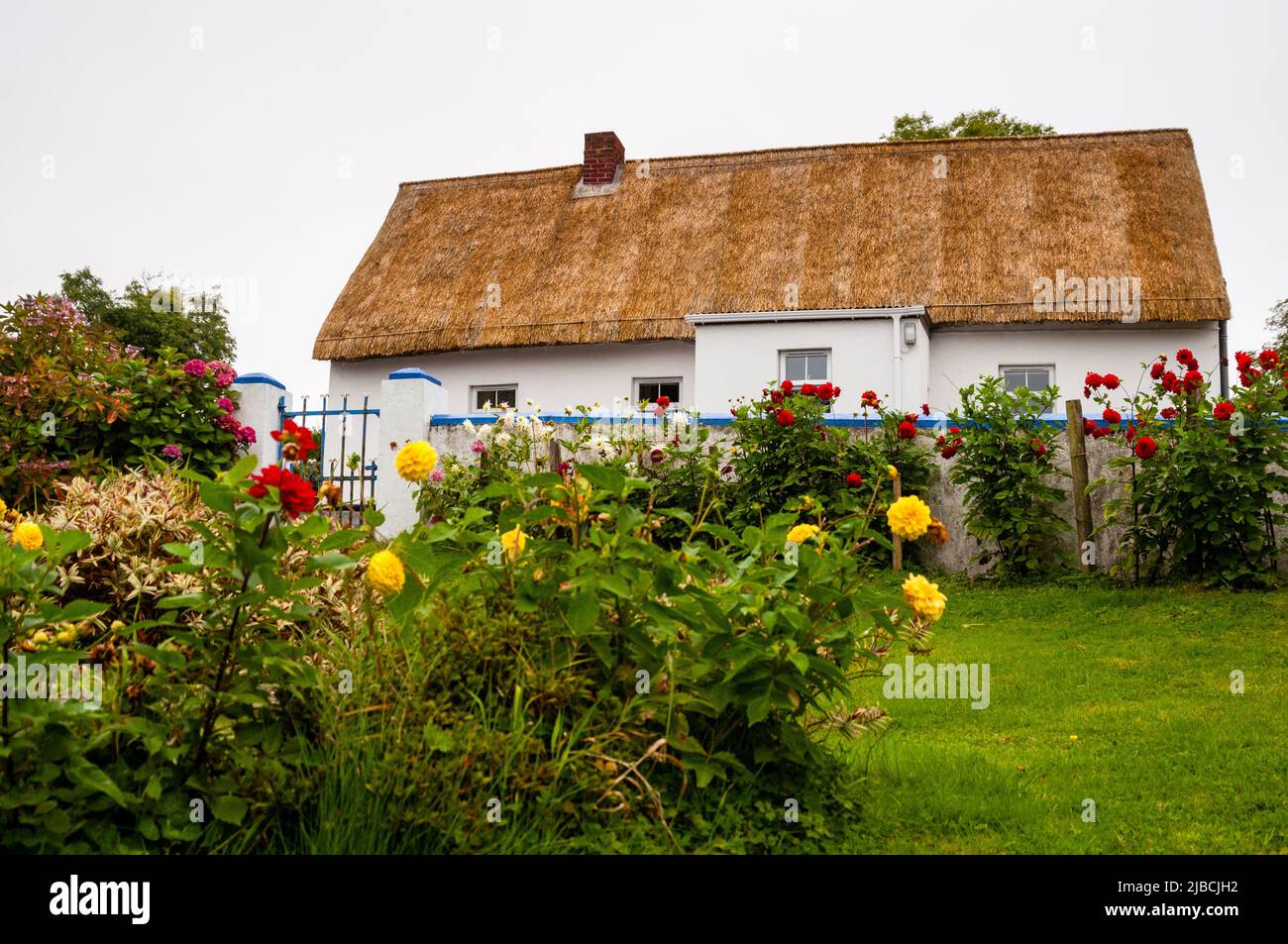 Whitewashed thatched roof irish cottage hi-res stock photography and ...