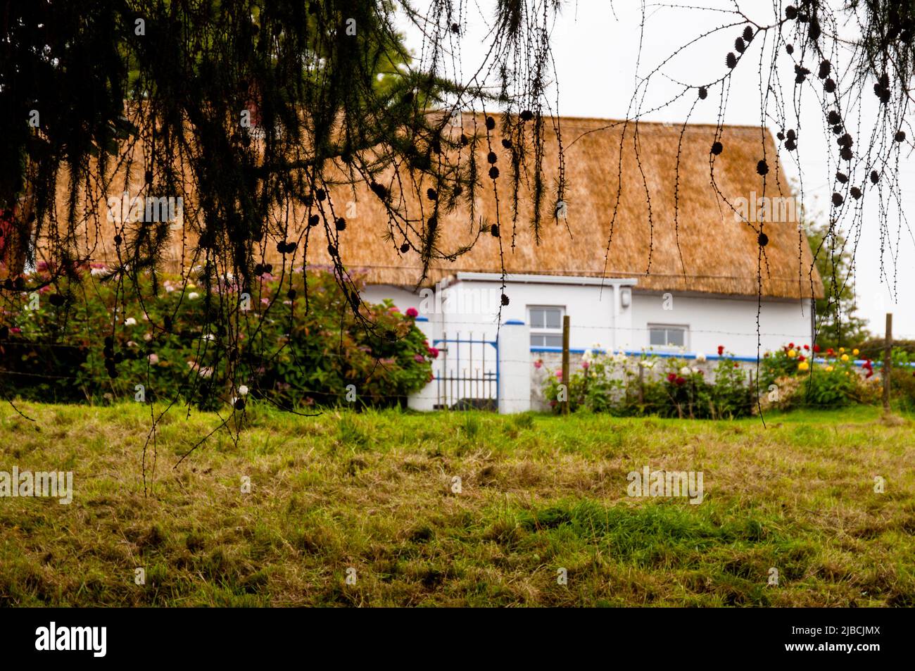 Whitewashed thatched roof irish cottage hi-res stock photography and ...