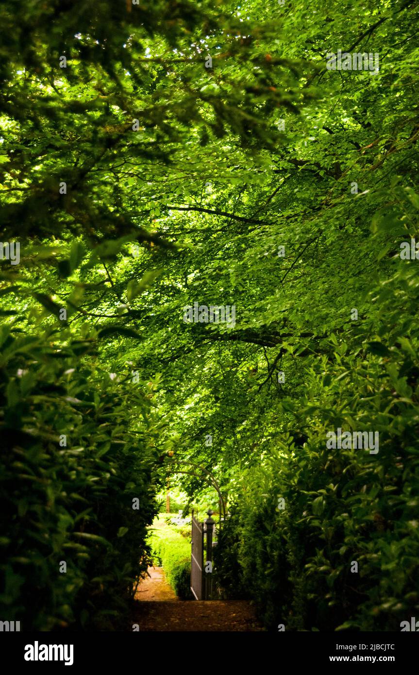 Gate and path in County Cavan, Ireland Stock Photo - Alamy