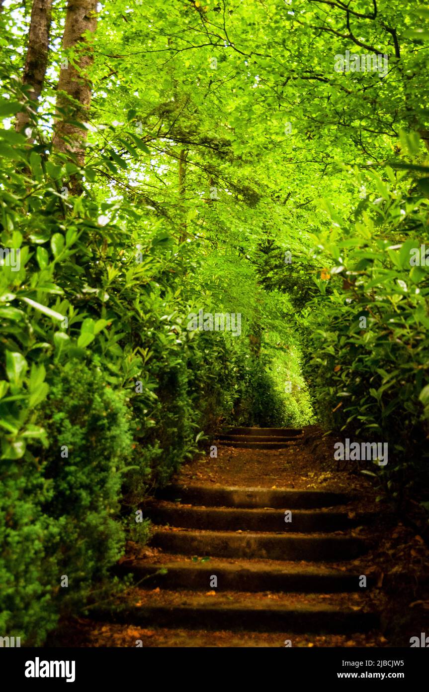 Walking path paths ireland hi-res stock photography and images - Alamy