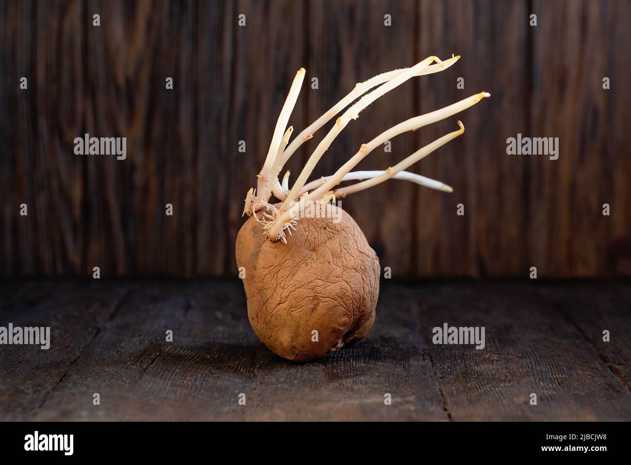 Weird potato hi-res stock photography and images - Alamy