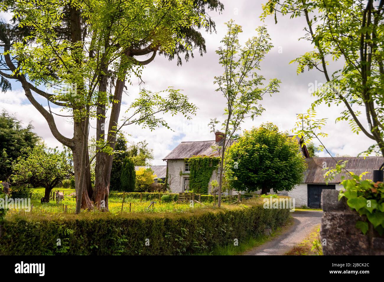 Celtic britain farm hi-res stock photography and images - Alamy