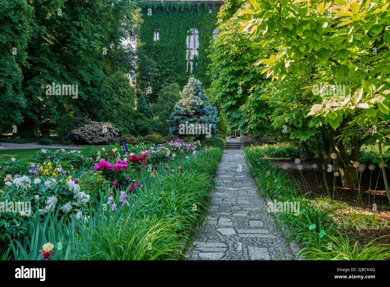 Botanical Gradens Wroclaw Lower Silesia Poland Stock Photo - Alamy
