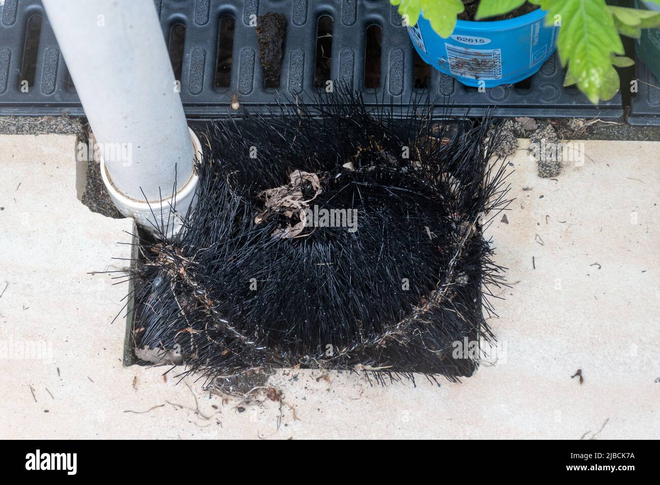 Hedgehog brush in a drain keeping leaves and debris out Stock Photo - Alamy