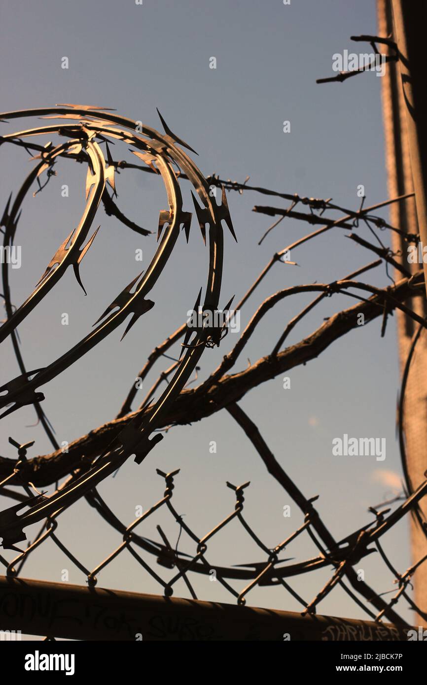 Razor wire fence protecting something important Stock Photo - Alamy