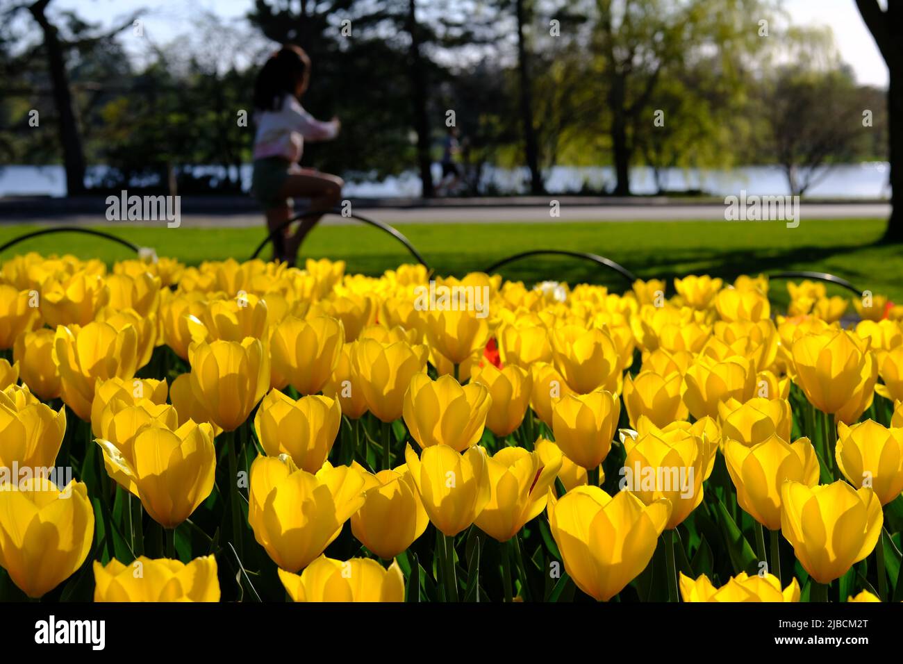 Empress of ottawa hi-res stock photography and images - Alamy