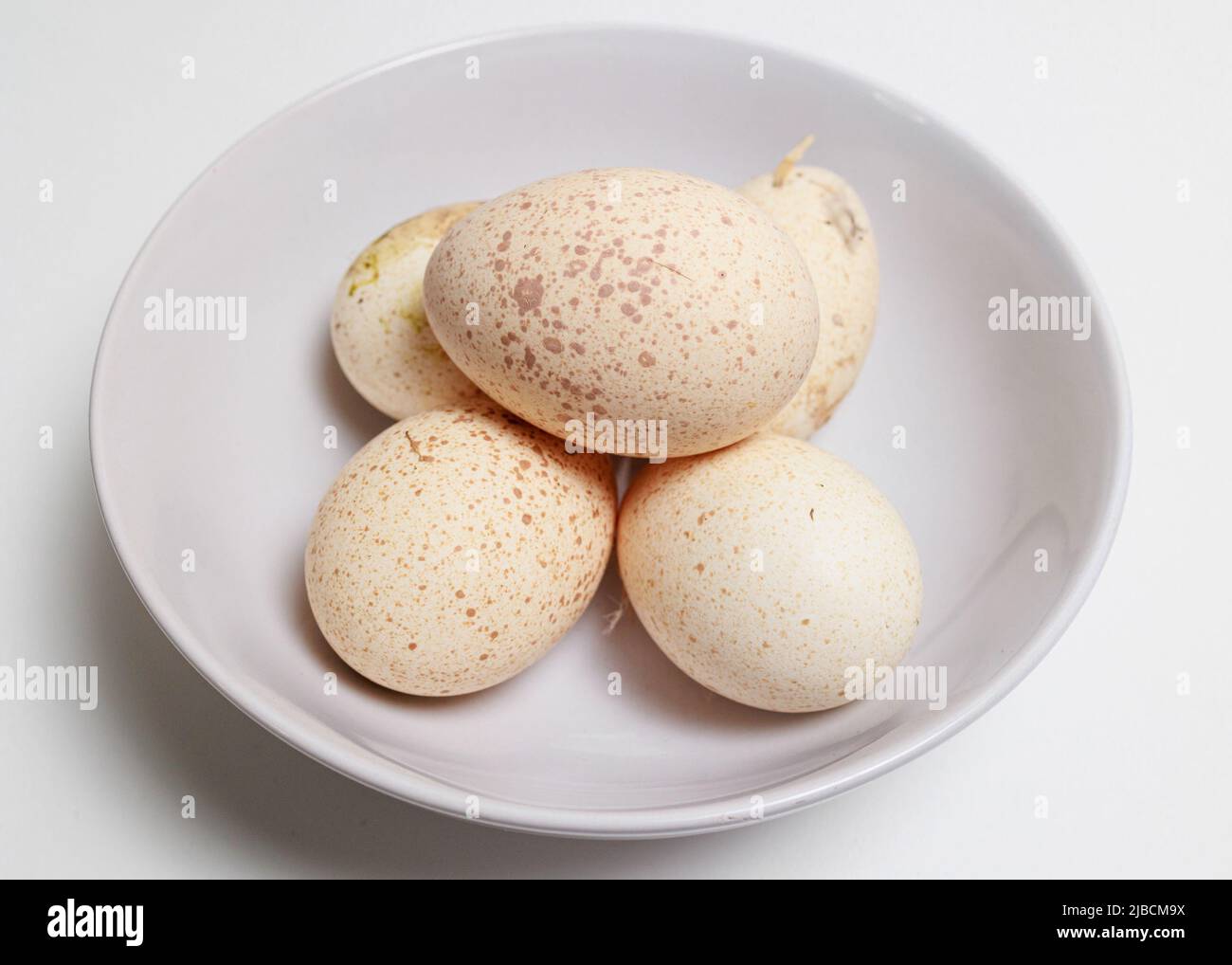Fresh Turkey Eggs on a white background Large speckled eggs (egg shells ...