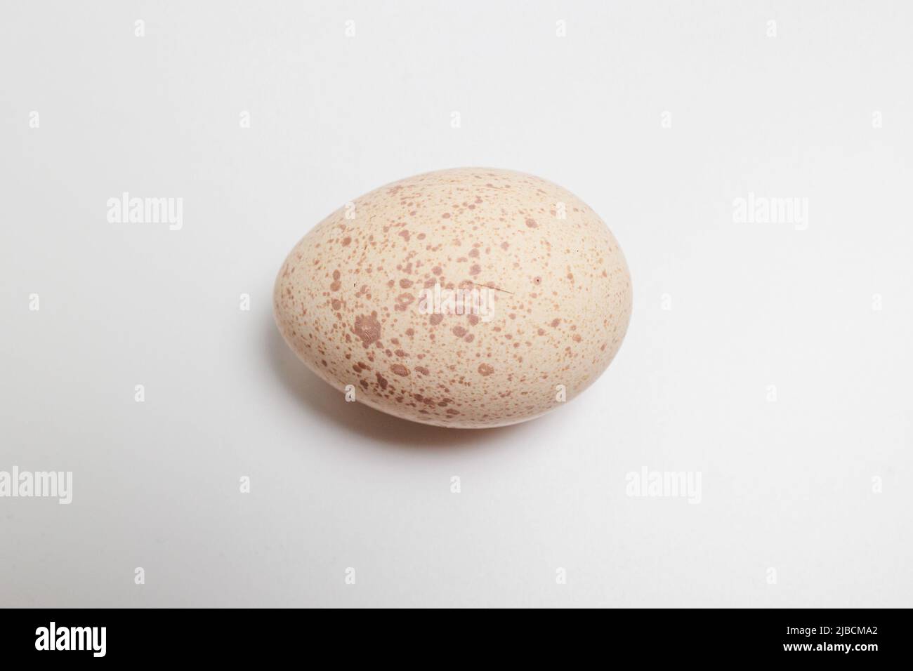 Speckled eggs hi-res stock photography and images - Alamy