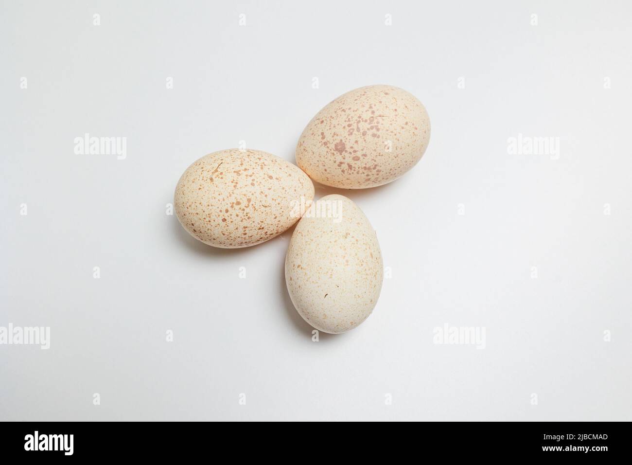 Speckled bird eggs hi-res stock photography and images - Alamy