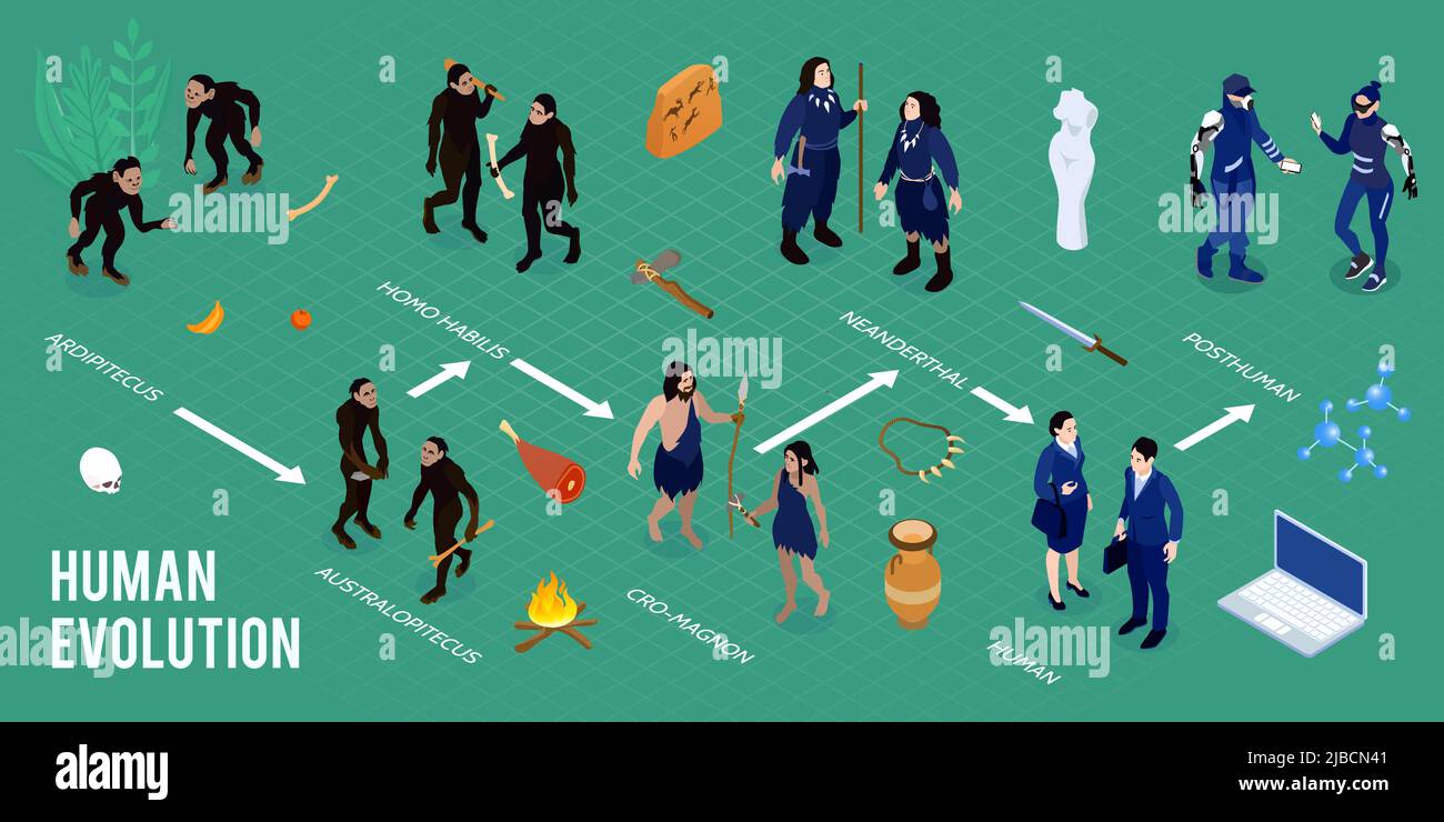Human evolution isometric infographics layout with images of homo ...