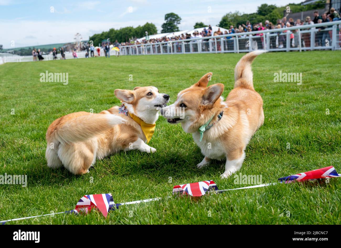 Participants Lottie (left) and Warburton (right) at the finish line in ...