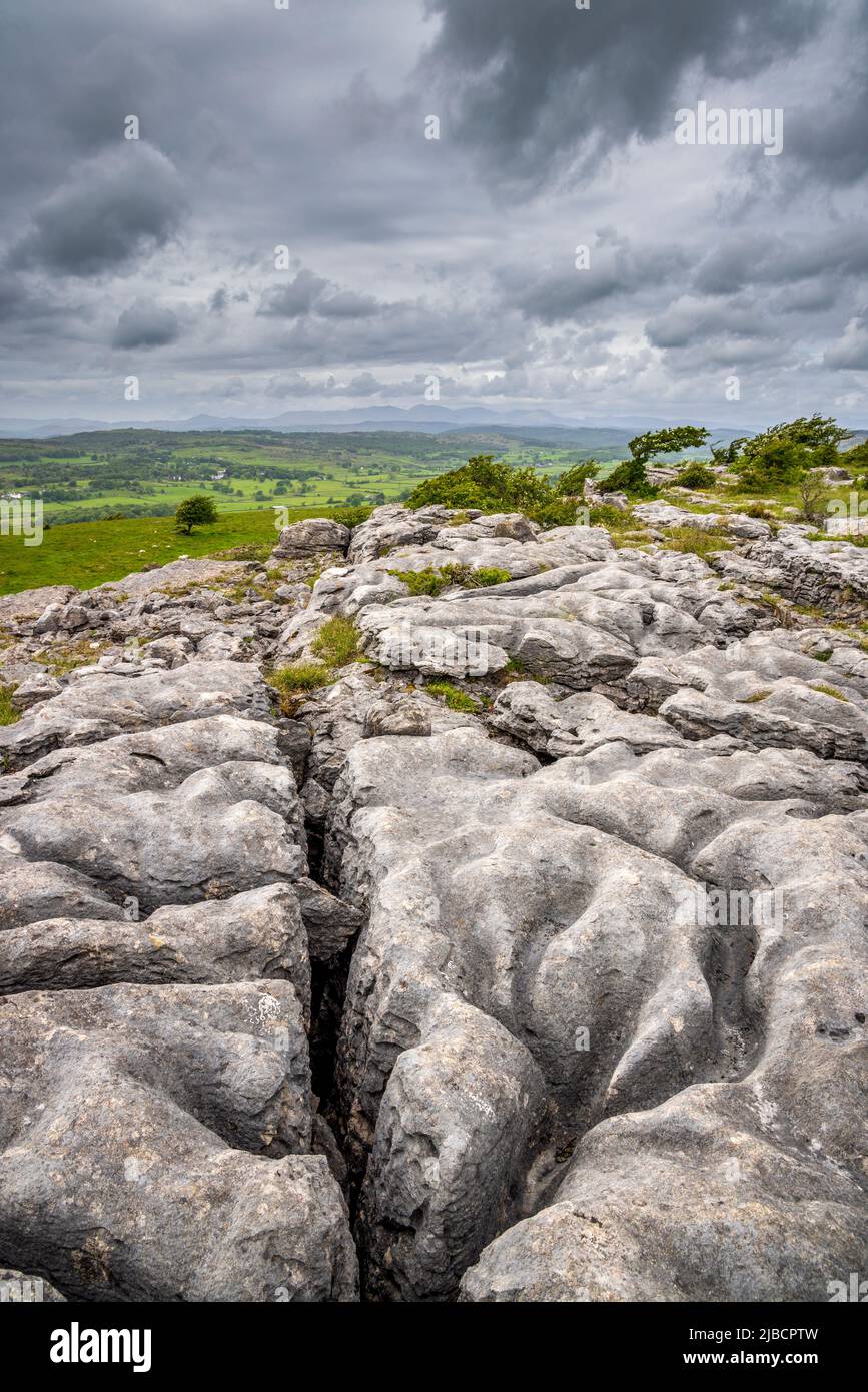 The Limestone Pavement of Hampsfell, Lake District Peninusulas, England ...