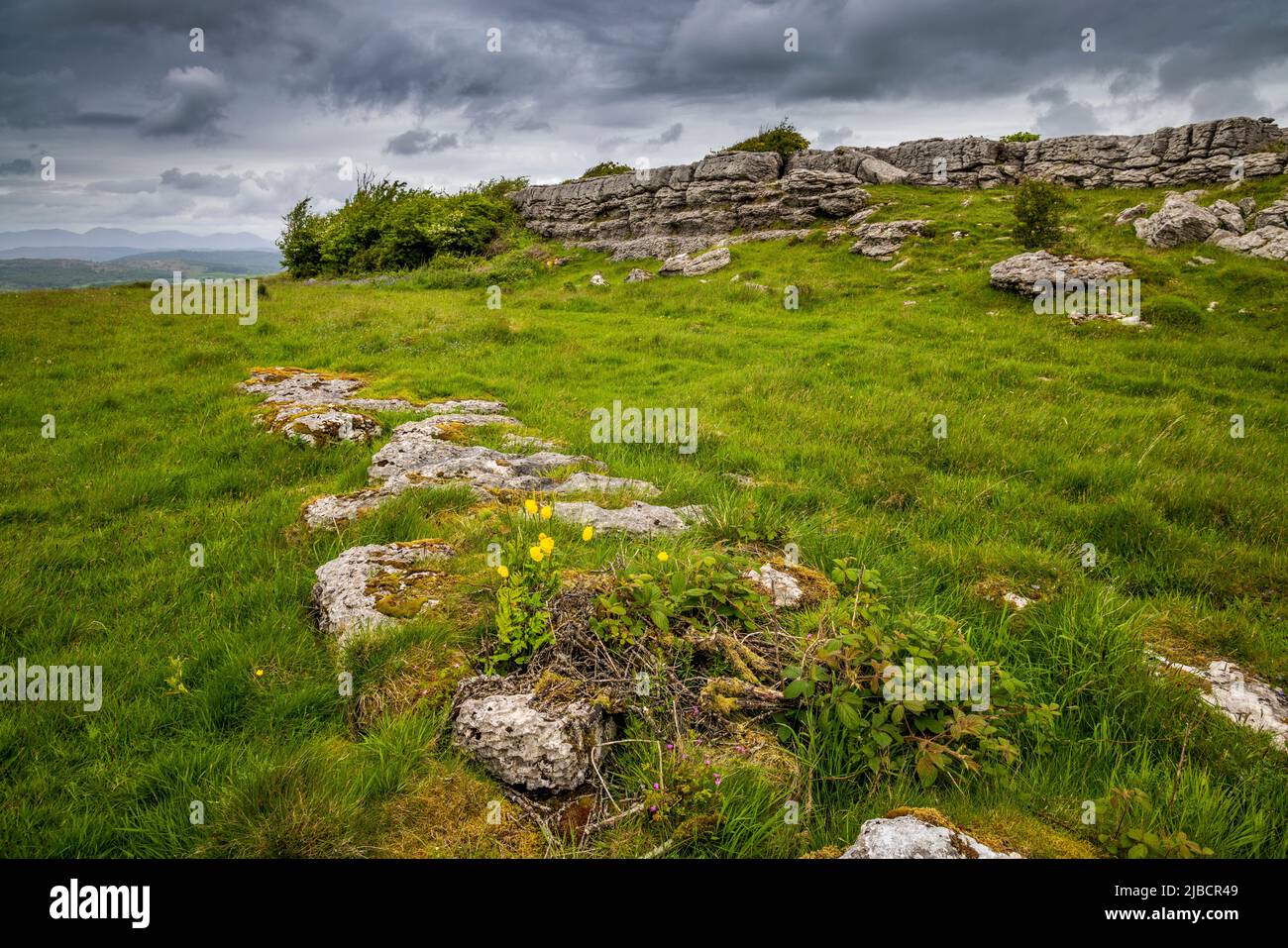 The Limestone Pavement of Hampsfell, Lake District, England Stock Photo ...