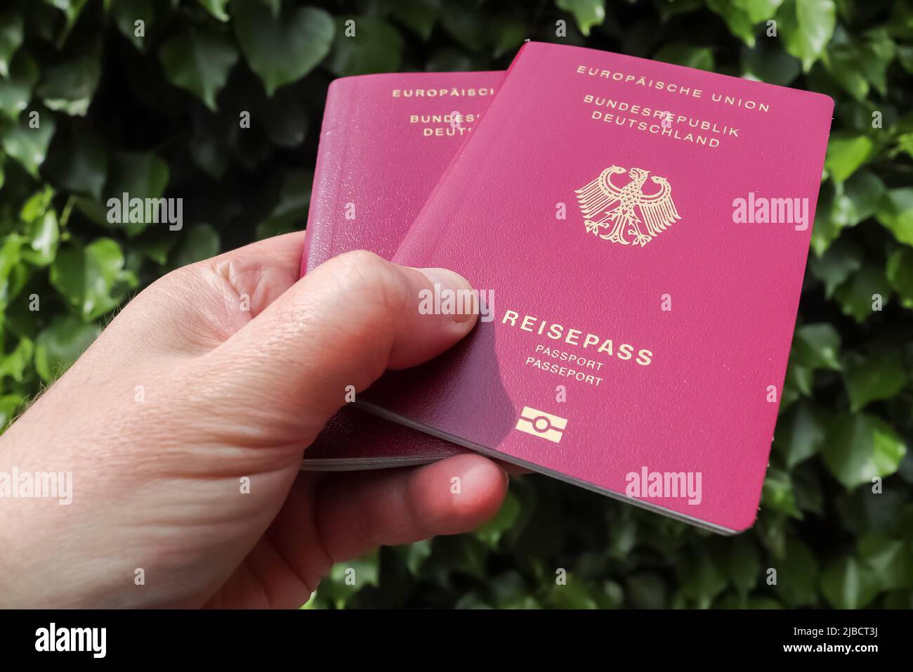 A male hand holds two German passports for passport control Stock Photo ...