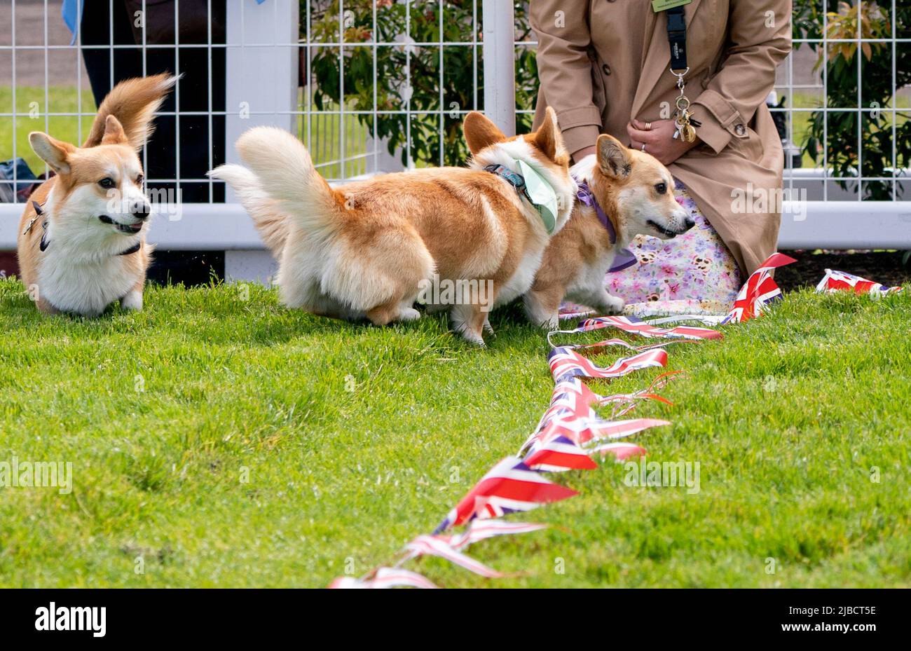 Georgie (right) crosses the finish line first to win the first ever ...