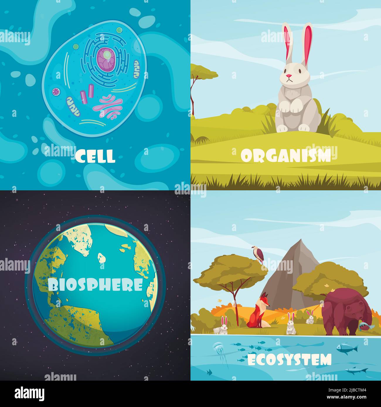 Biological hierarchy 2x2 cartoon compositions of cell organism ...