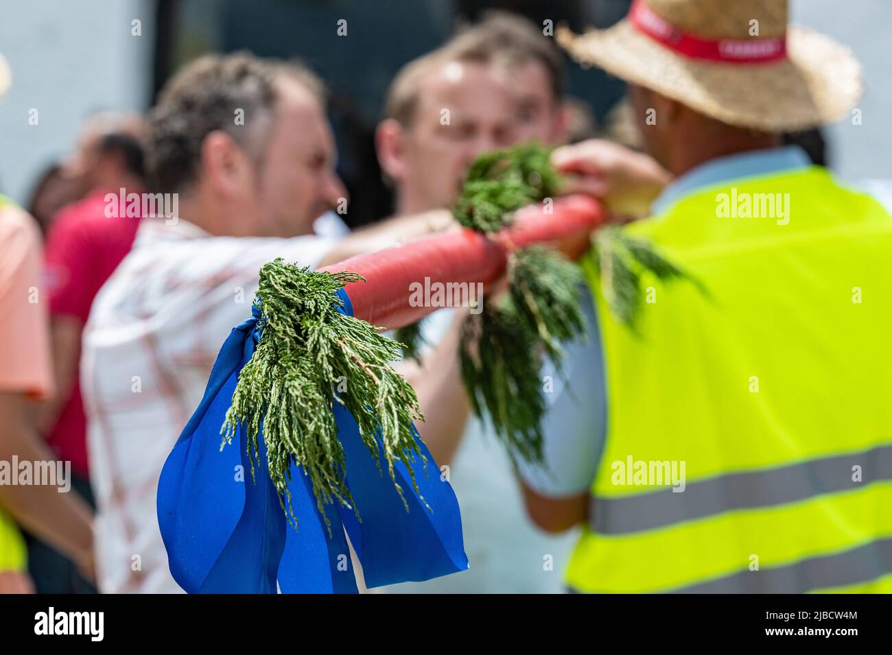 Bogen, Germany. 05th June, 2022. Pilgrims carry a spruce trunk wrapped ...