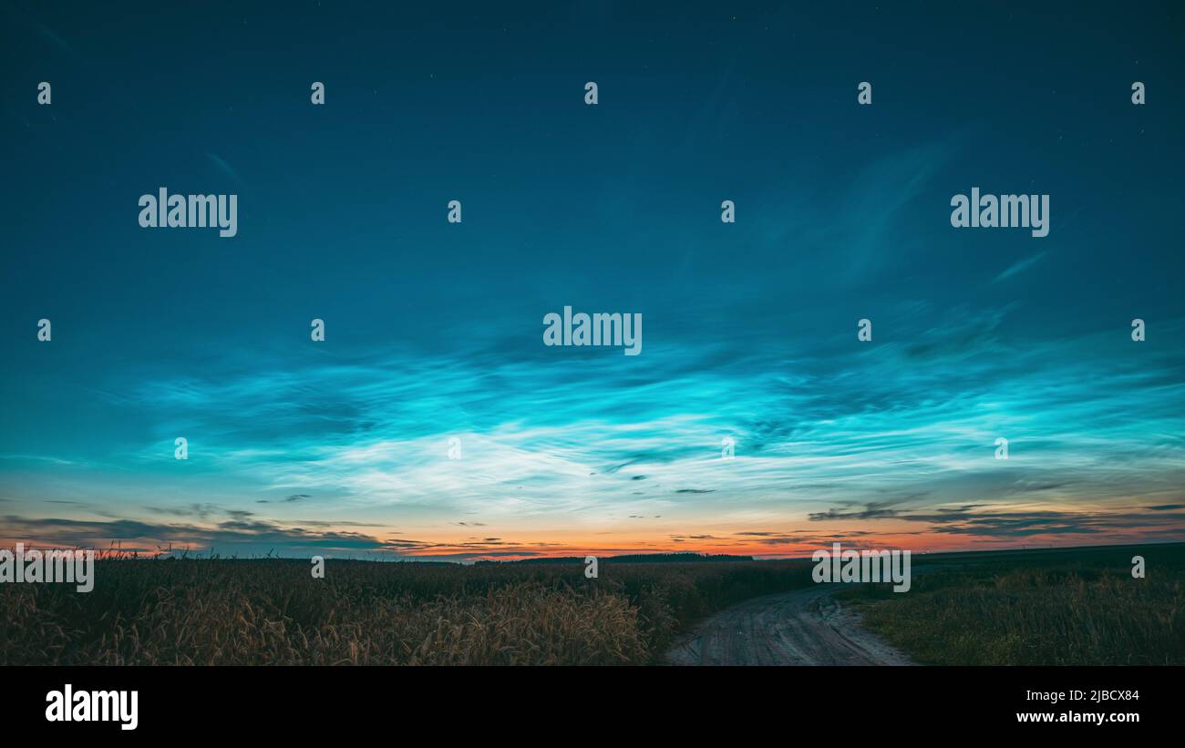 4K Night Starry Sky With Glowing Stars Above Countryside Landscape With ...